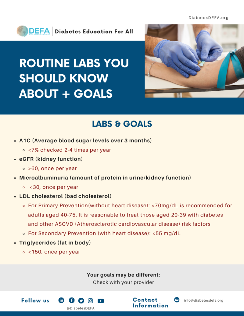 Labs and Goals | DEFA